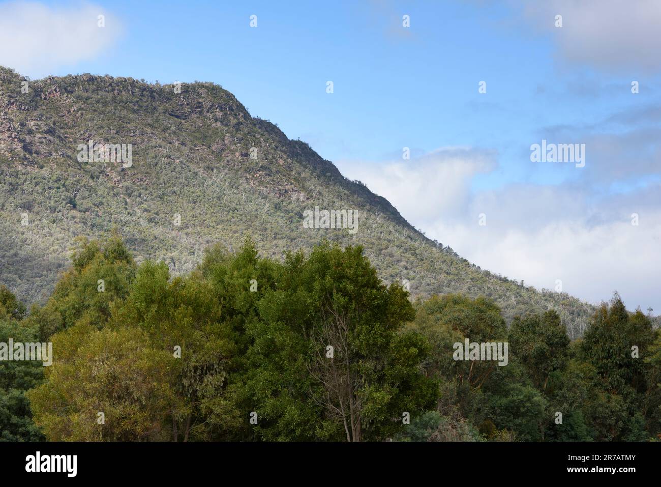 Landscape around Alexandra, Victoria, Australia Stock Photo - Alamy