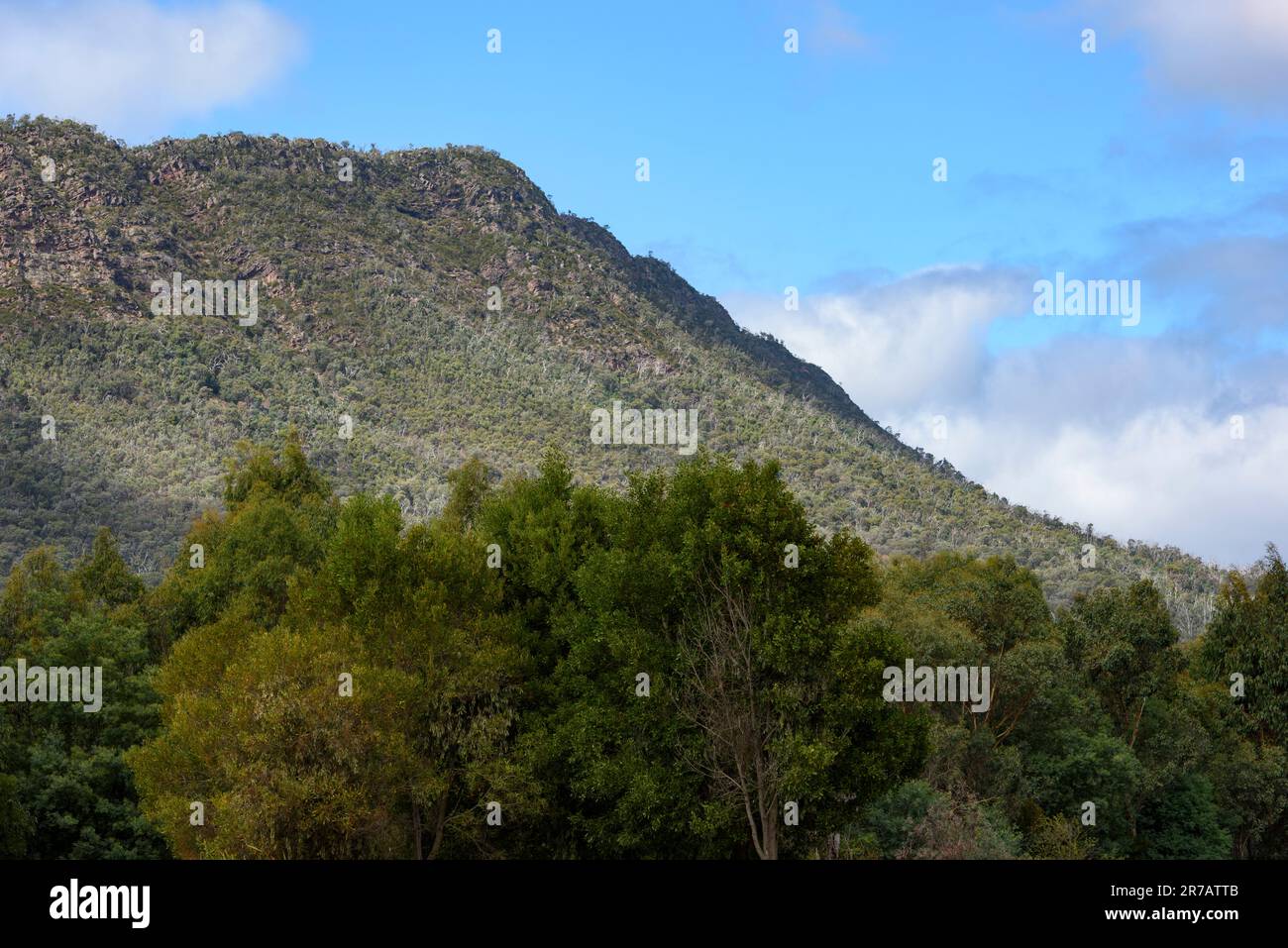 Landscape around Alexandra, Victoria, Australia Stock Photo - Alamy