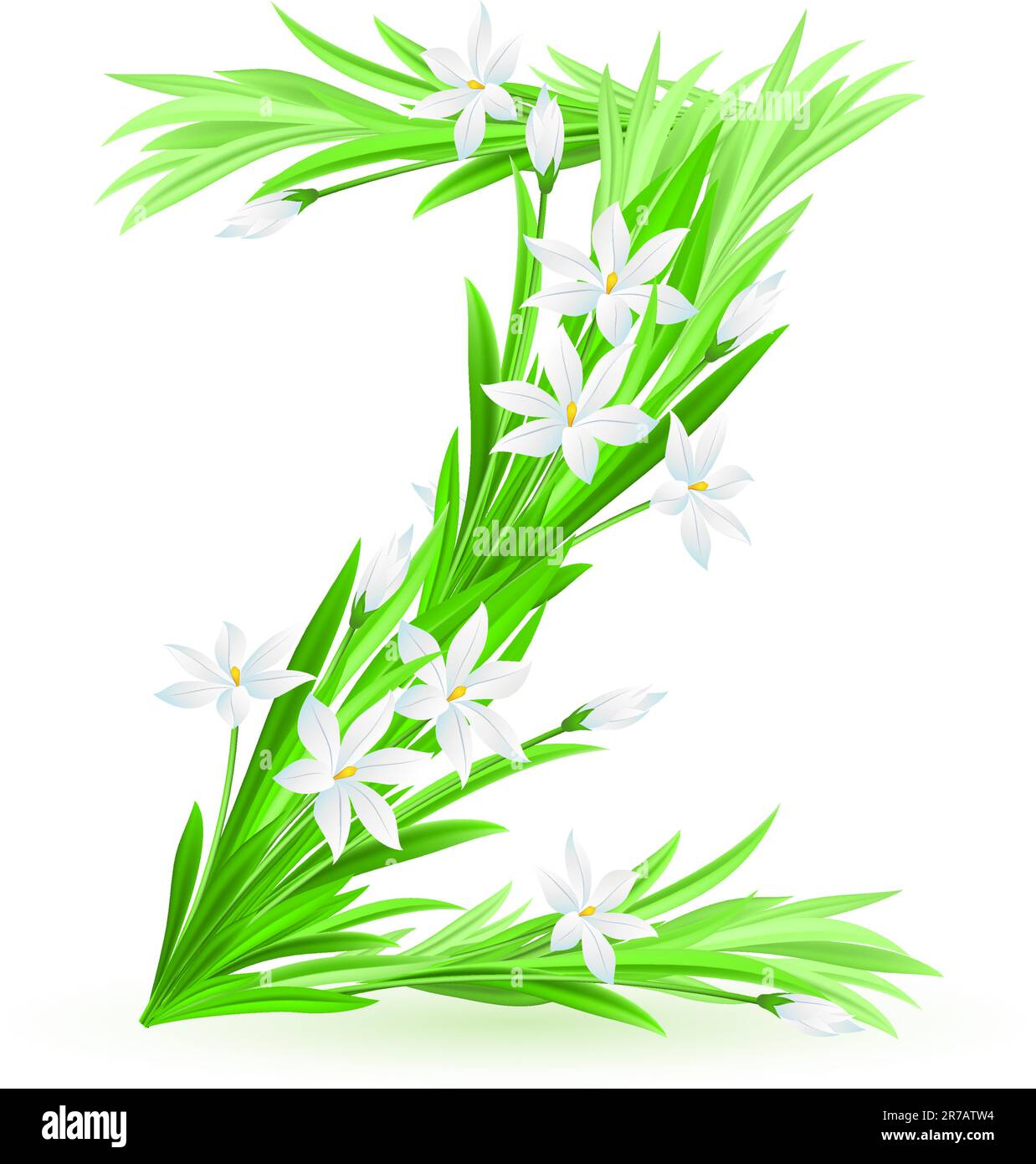 One letter of spring flowers alphabet - Z. Illustration on white ...