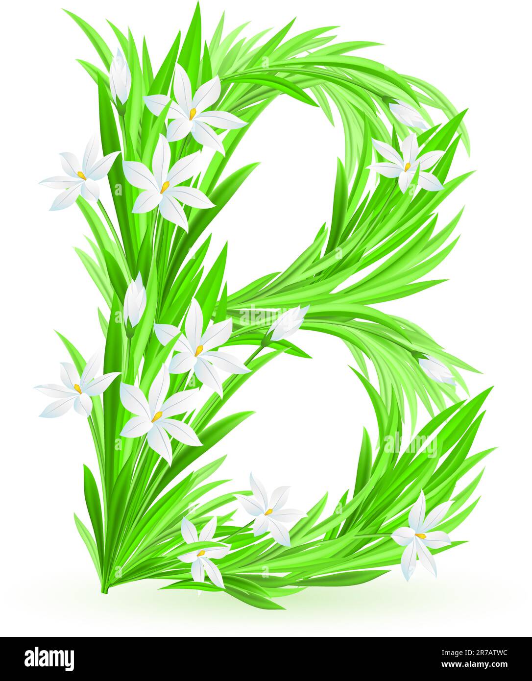 One letter of spring flowers alphabet - B. Illustration on white ...