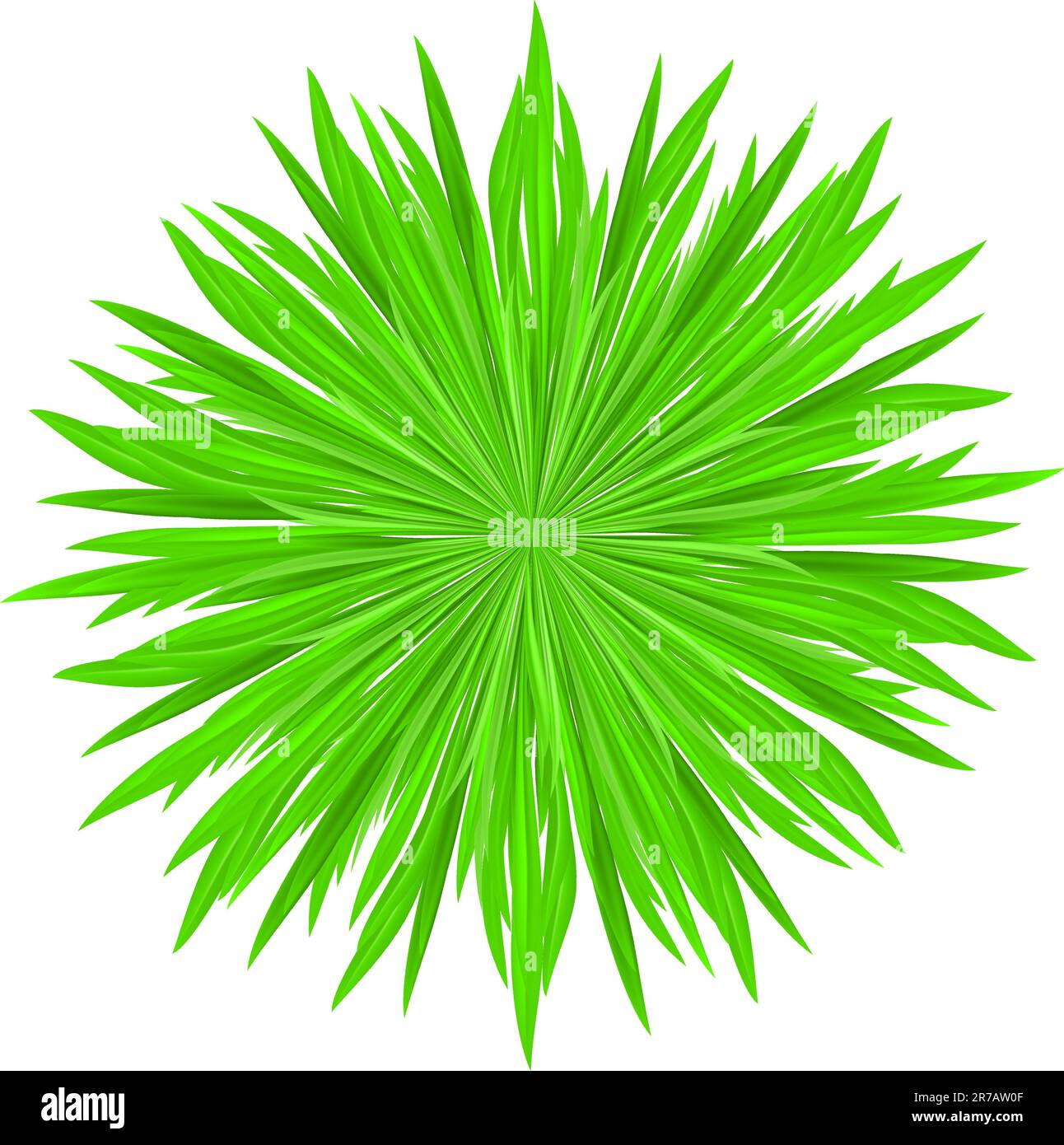 Vector illustration of grass frame. Green circle Stock Vector Image ...