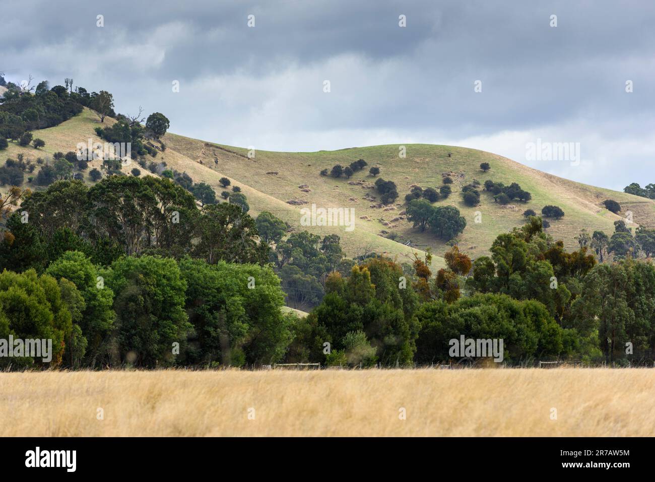 Landscape around Alexandra, Victoria, Australia Stock Photo - Alamy