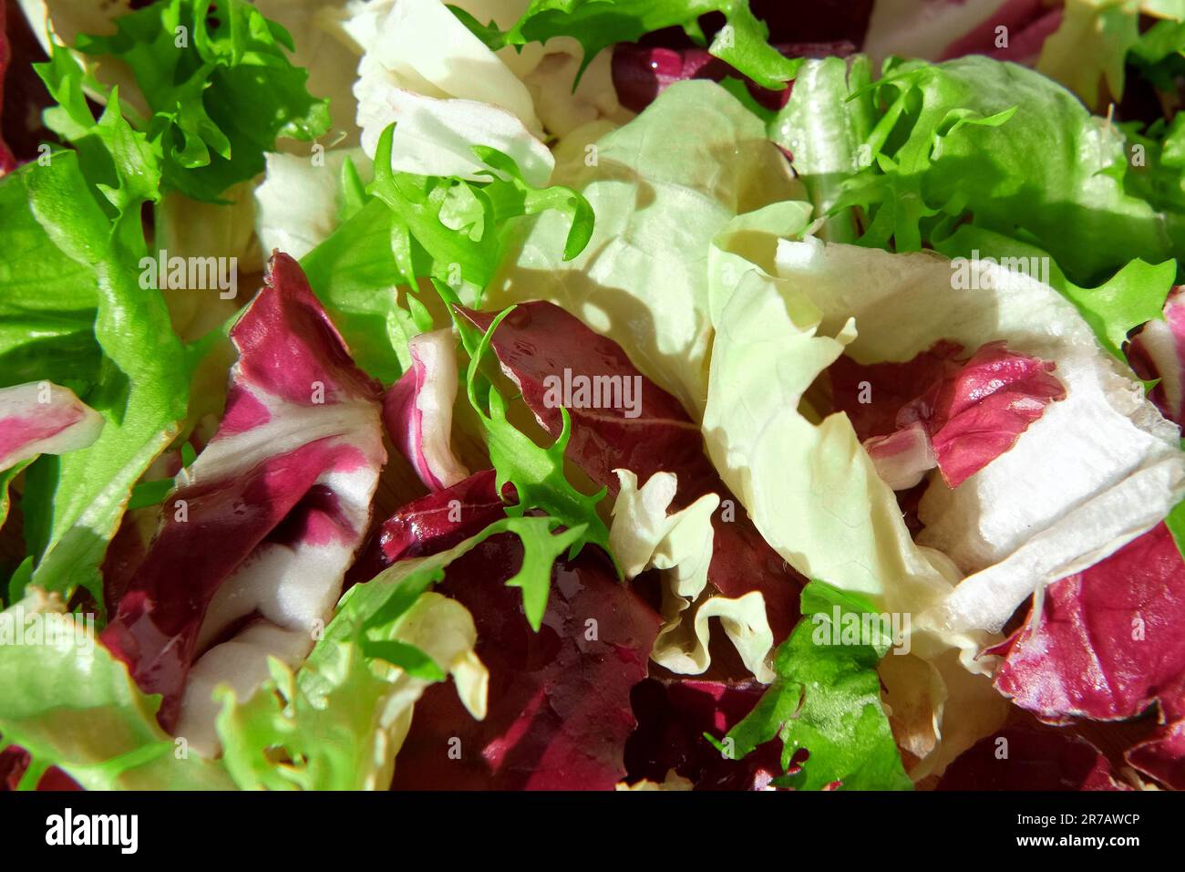 Fresh mixed salad field greens piled closeup top view. Various ...