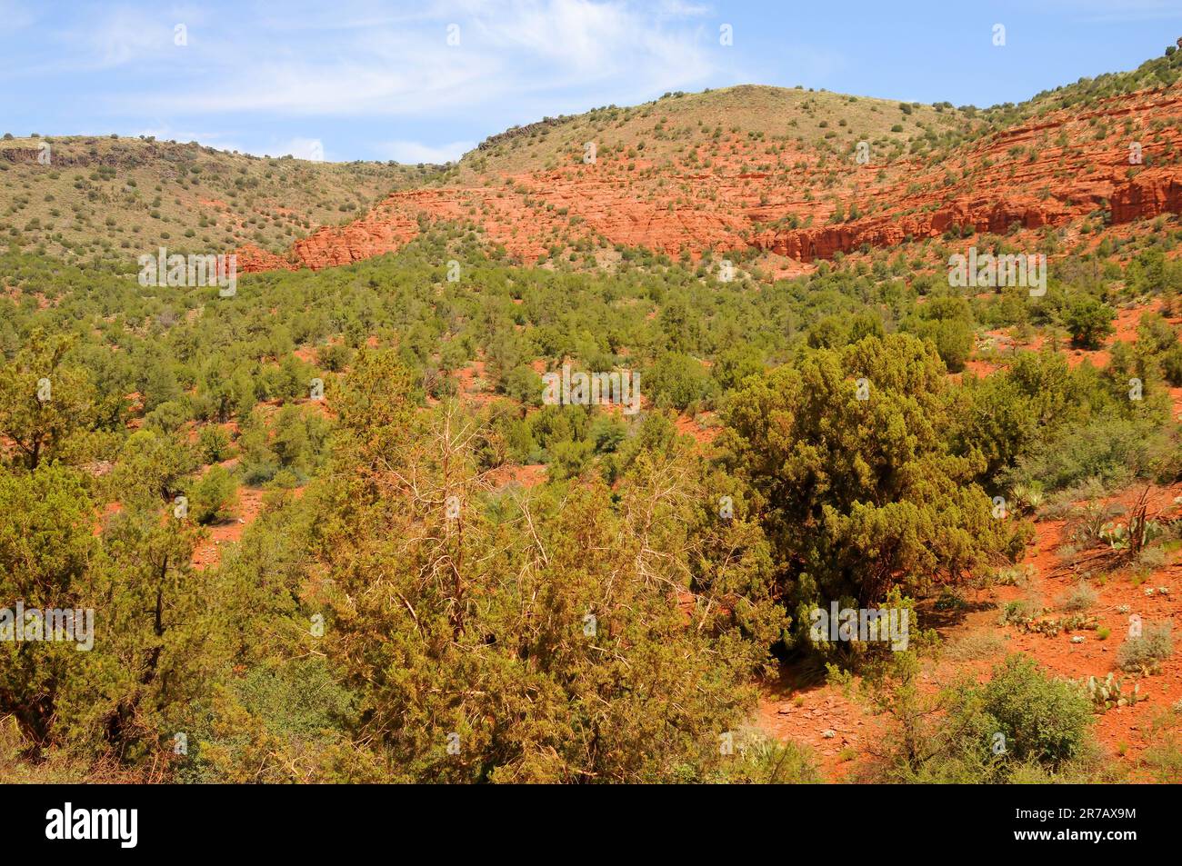 Verde river valley and distant red rock mountains Stock Photo - Alamy