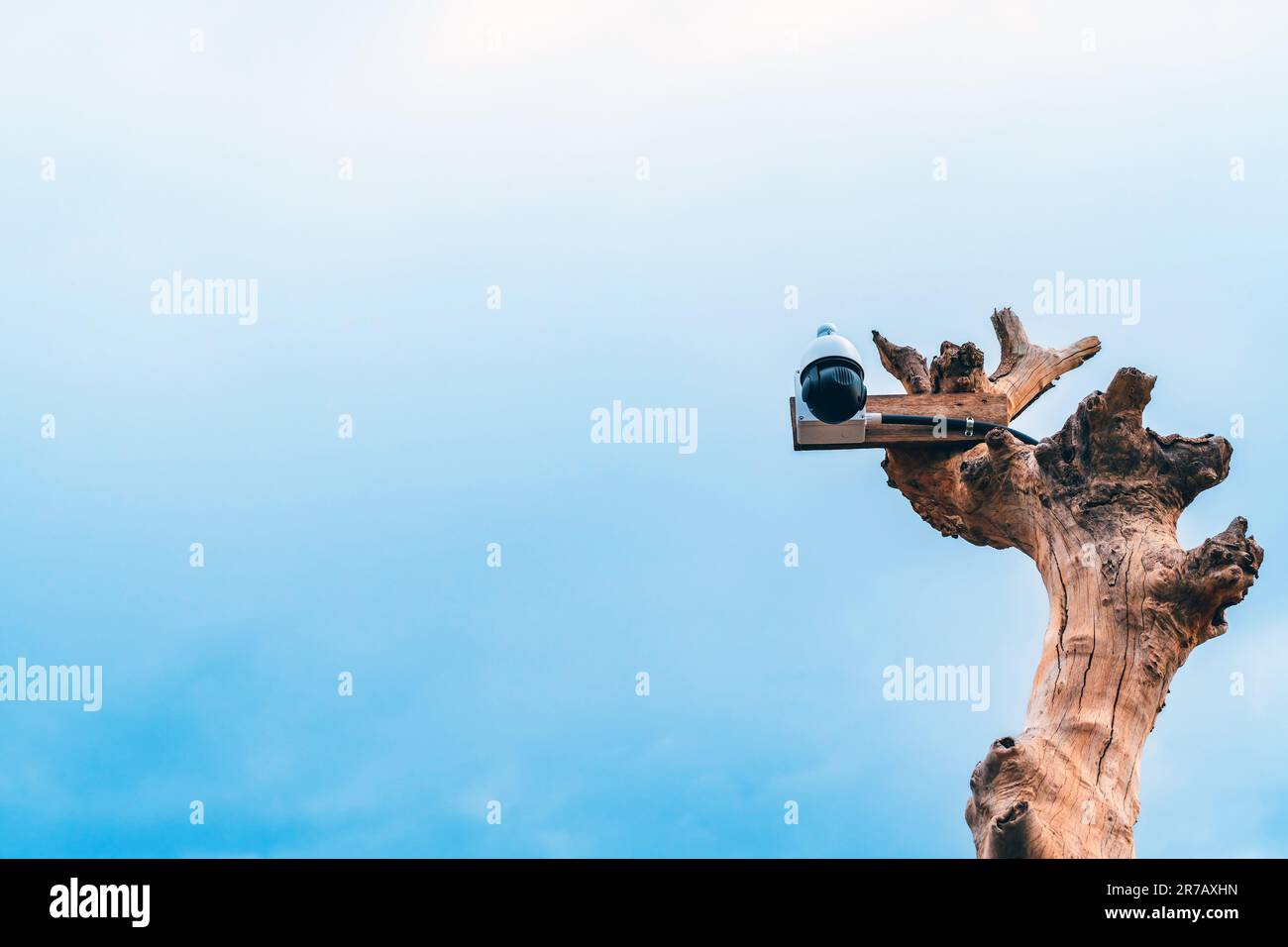 Closed circuit camera multi-angle CCTV system camera installed on dead ...