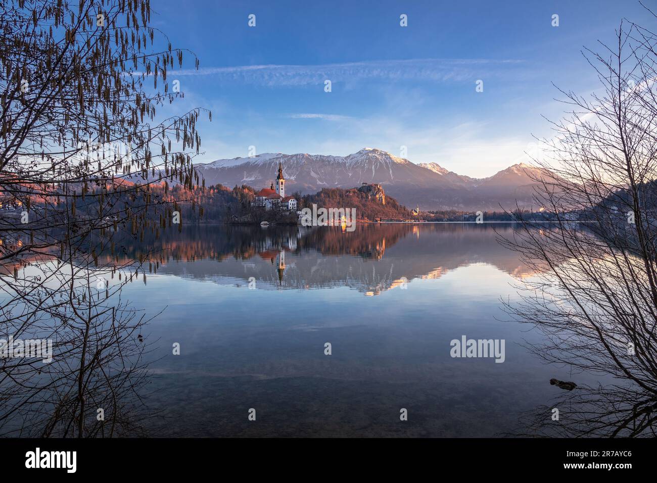 Peaceful morning at Lake Bled with Bled Island and Bled Castle in the ...