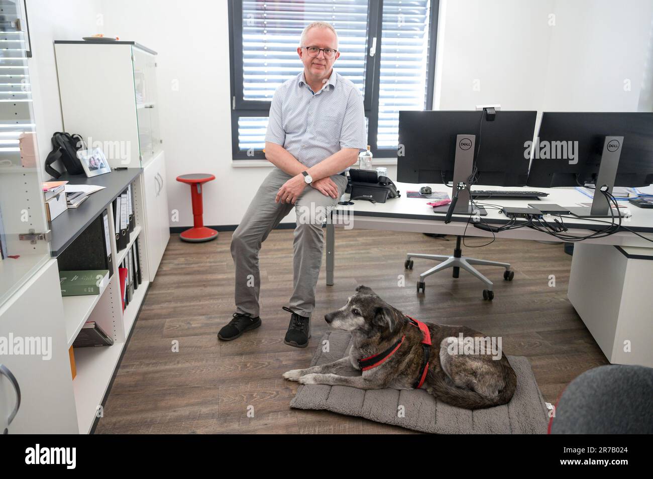 14 June 2023, Saarland, Saarbrücken: Dog Peppa is lying on the floor in ...