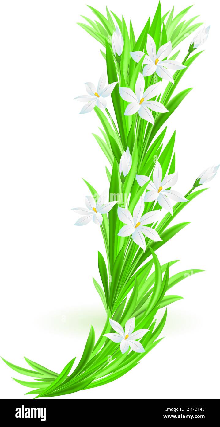 One letter of spring flowers alphabet - J. Illustration on white ...