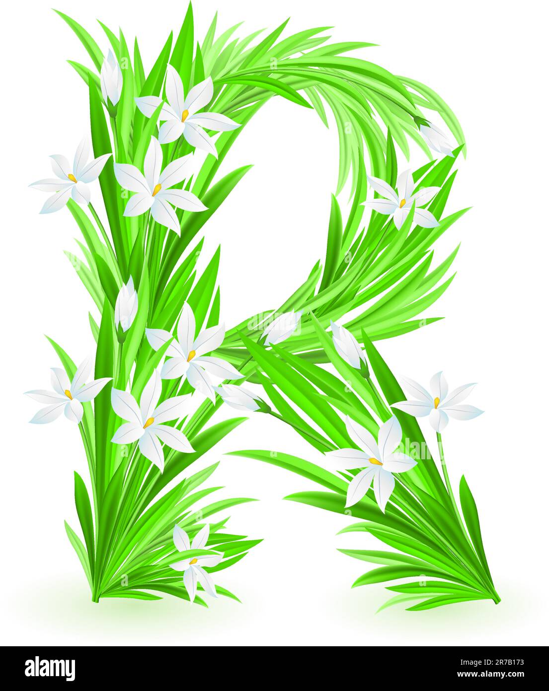 One letter of spring flowers alphabet - R. Illustration on white ...