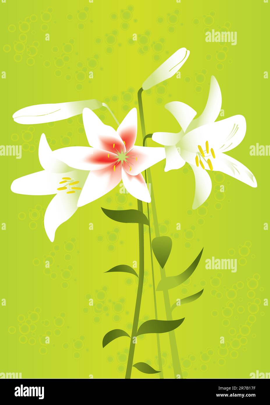 Vector floral background with lilies for your card or invitation Stock ...
