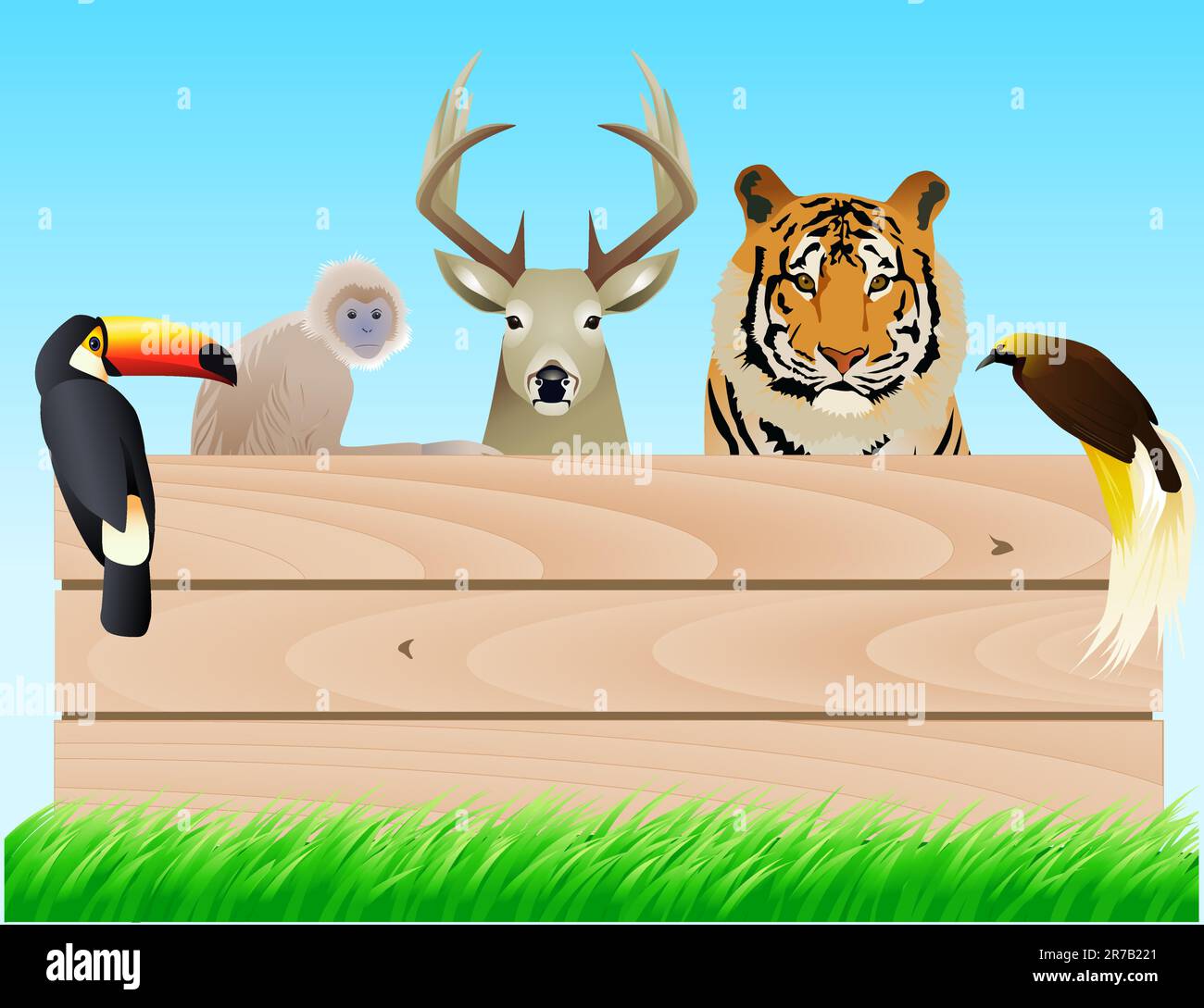 Vector wild animal Stock Vector Image & Art - Alamy