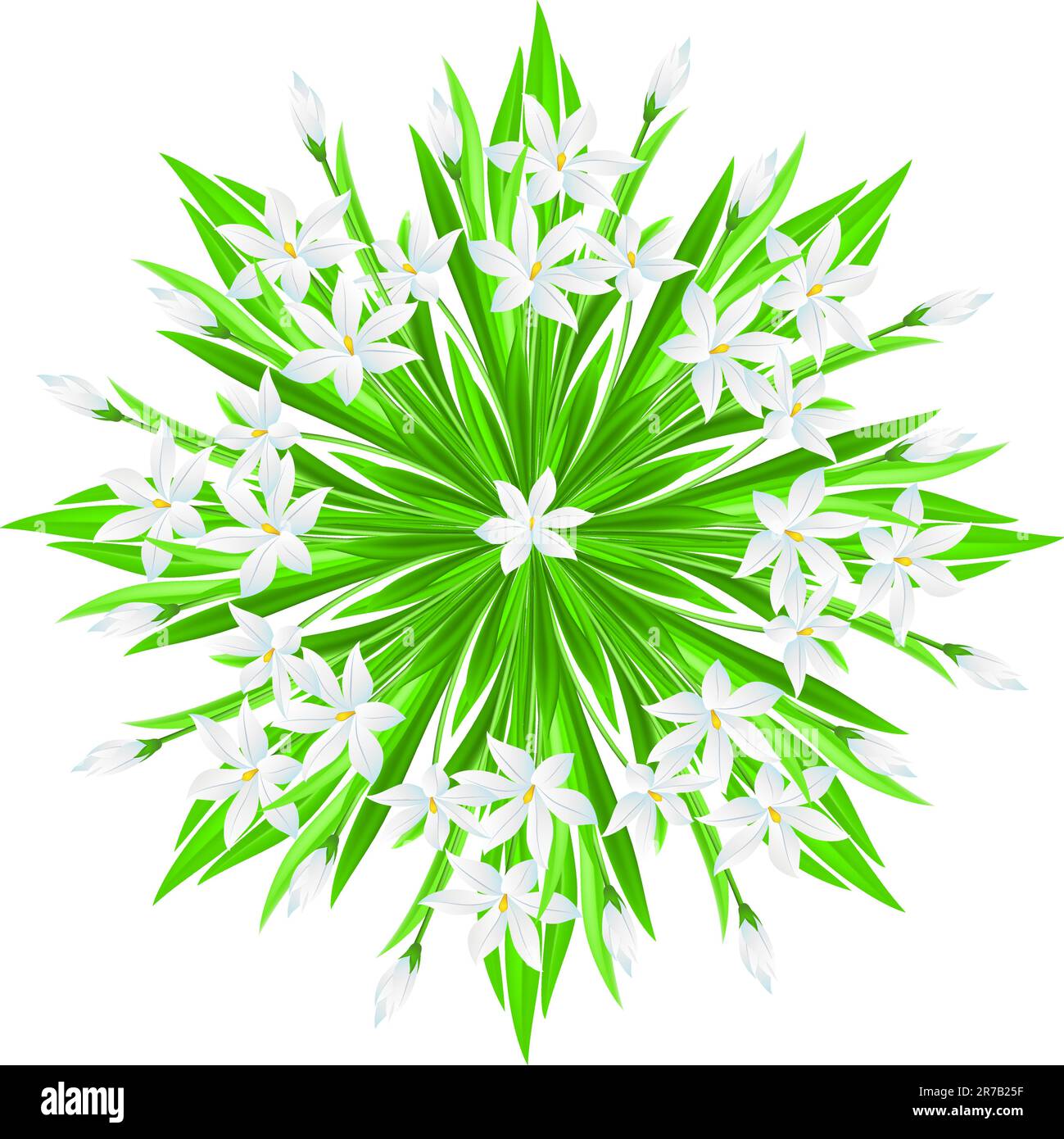 Vector illustration of spring flower frame. Star Stock Vector Image ...