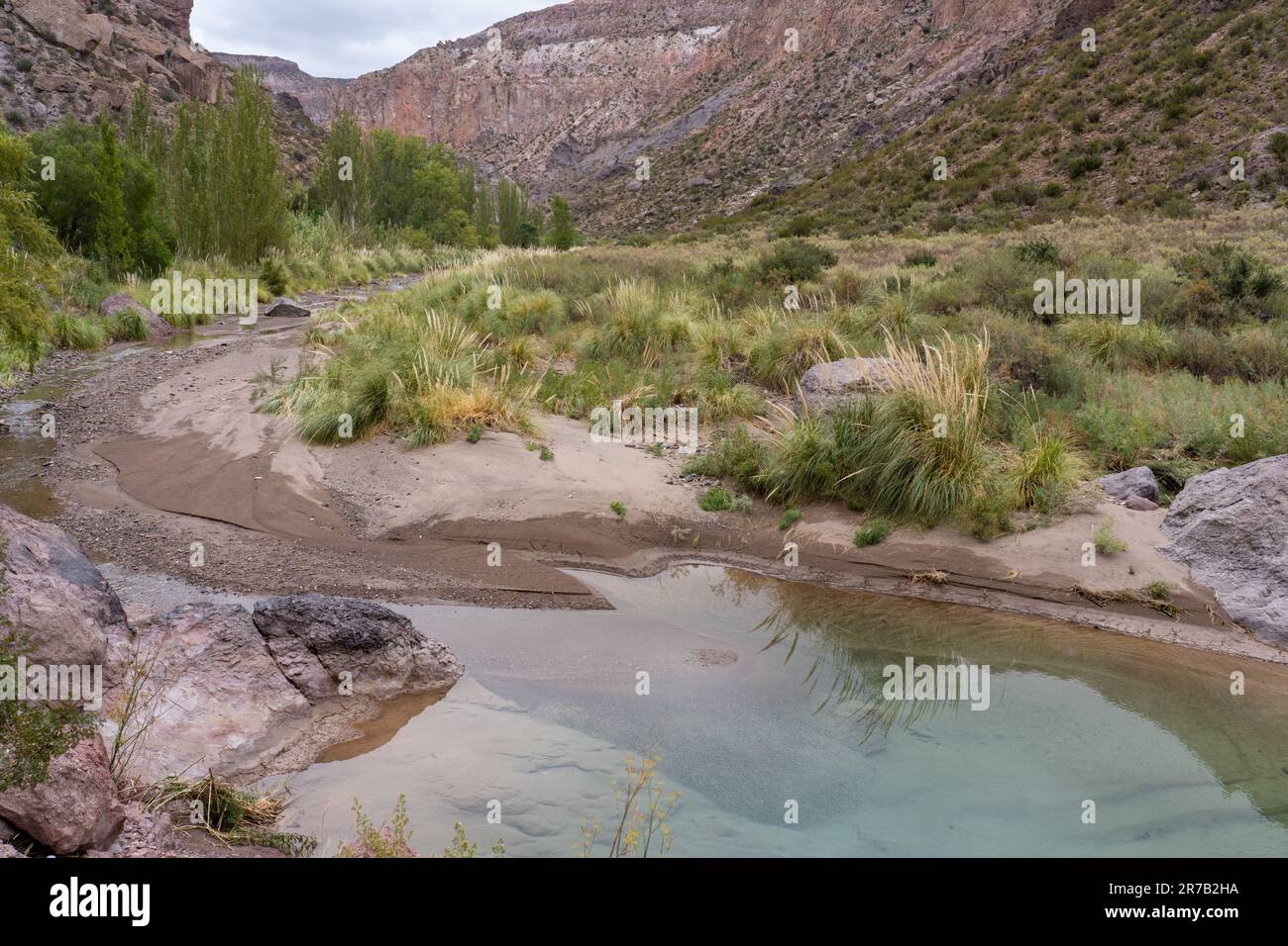 Riparian habitat along the Atuel River in dry season in the Atuel ...