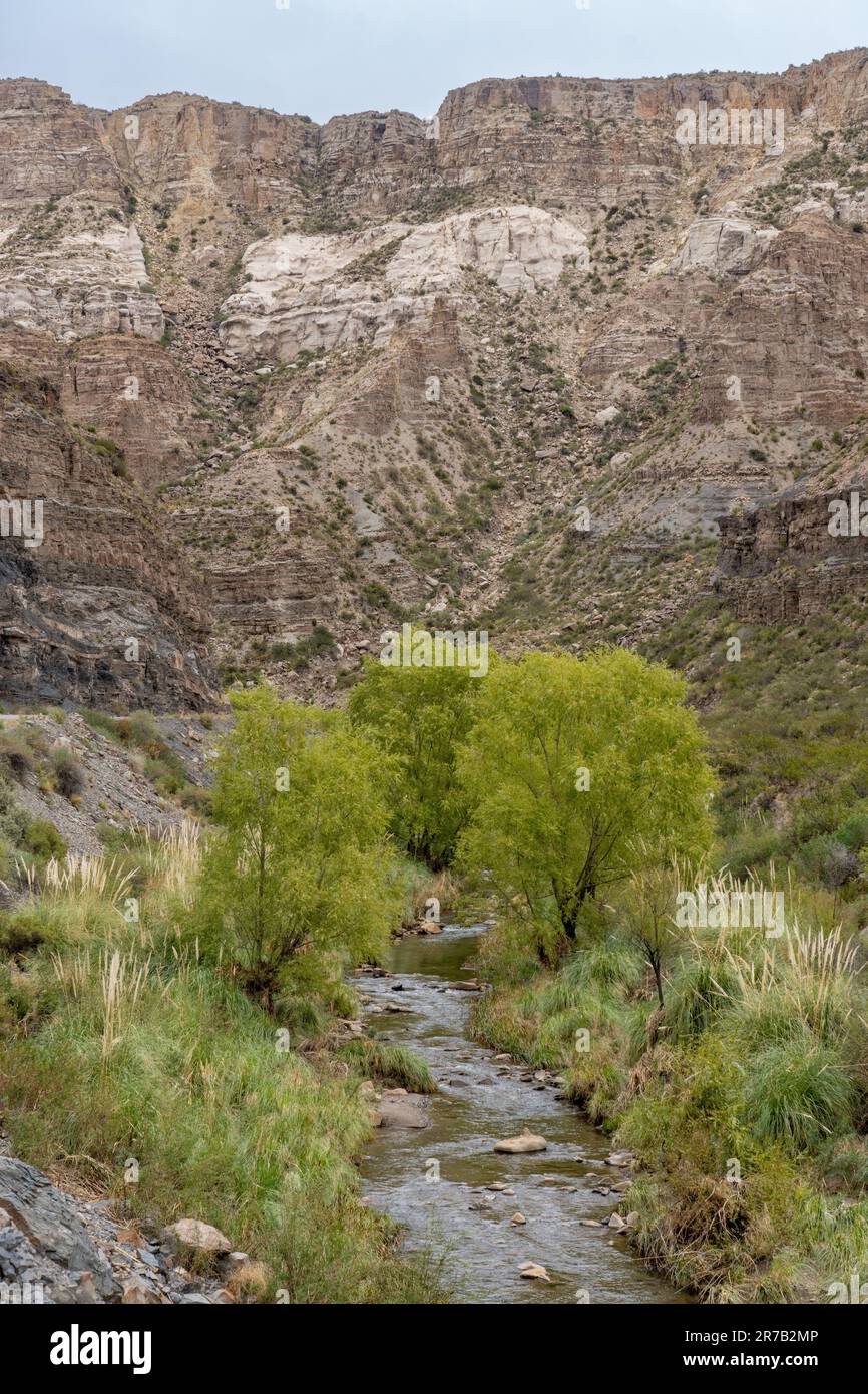 Riparian habitat along the Atuel River in dry season in the Atuel ...
