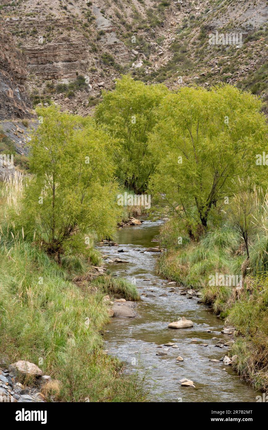 Riparian rights hi-res stock photography and images - Alamy