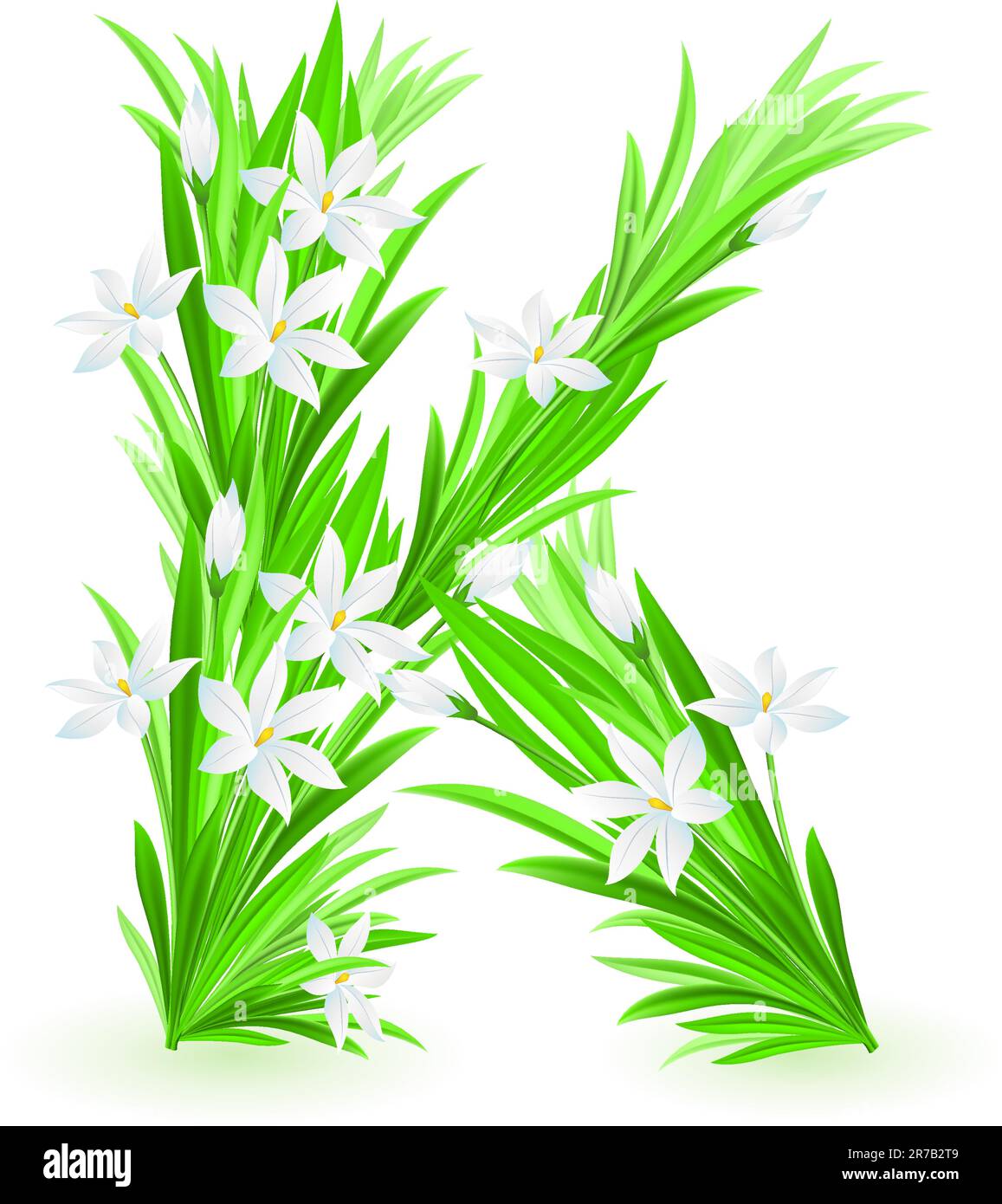 One letter of spring flowers alphabet - K. Illustration on white ...