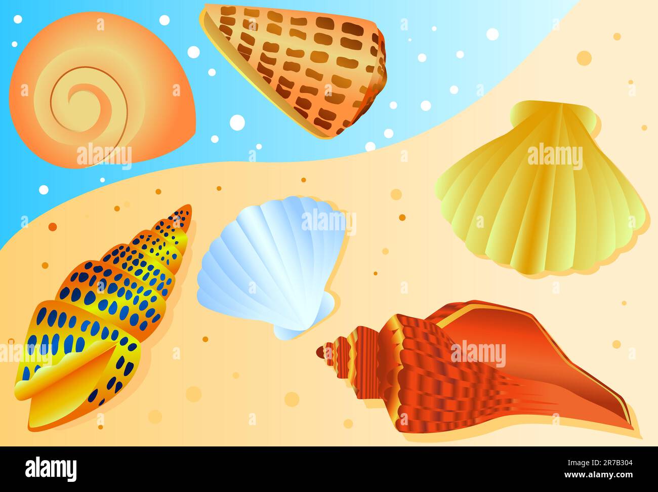 Sea shell detail Stock Vector Images - Alamy