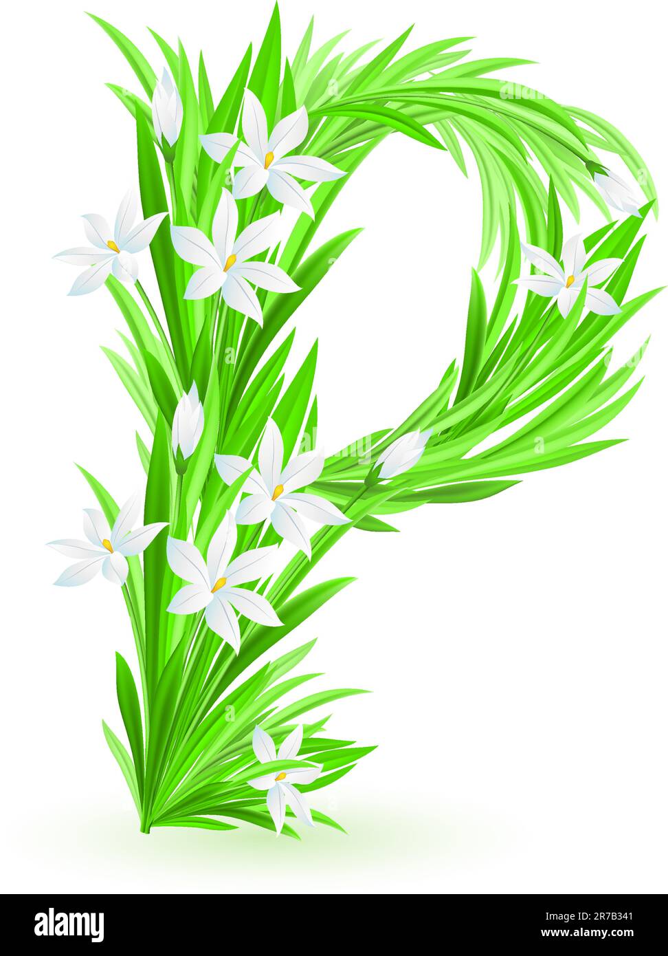 One letter of spring flowers alphabet - P. Illustration on white ...