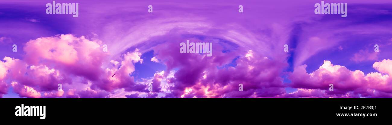 Dark blue magenta sunset sky panorama with pink Cumulus clouds ...