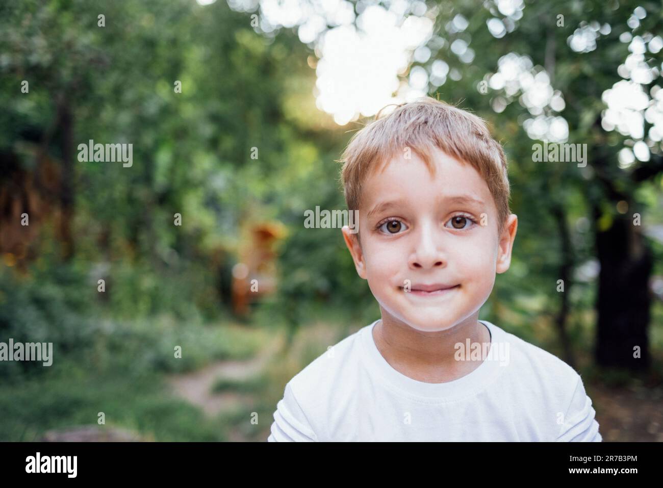 Toddler looking up at trees hi-res stock photography and images - Alamy