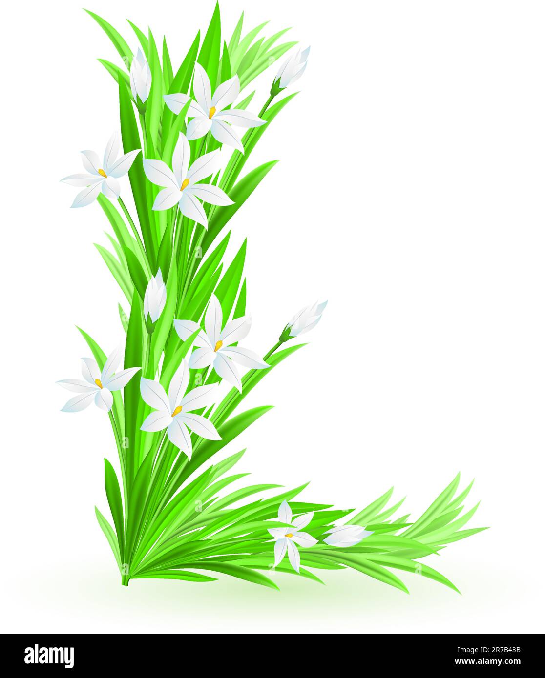 One letter of spring flowers alphabet - L. Illustration on white ...