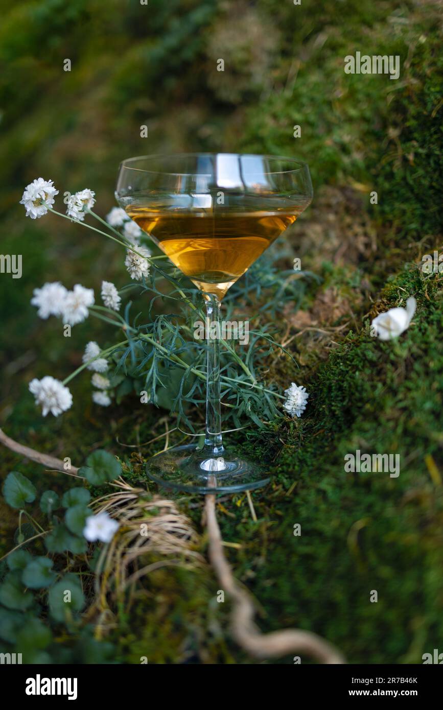 Ice chamomile flowers in mineral hi-res stock photography and images ...