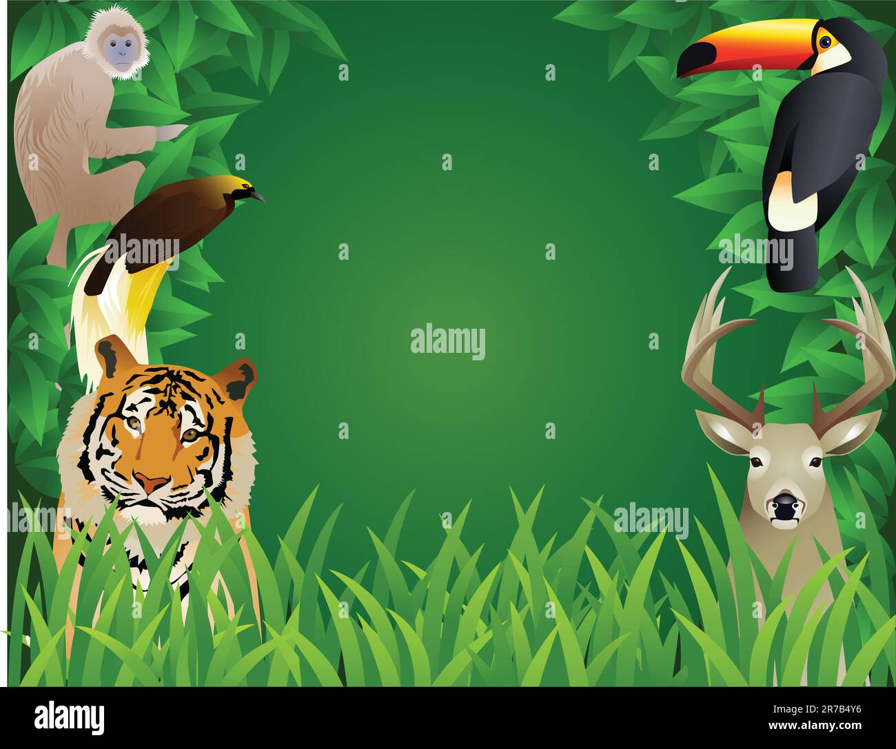 Vector illustration of animal in the jungle Stock Vector Image & Art ...