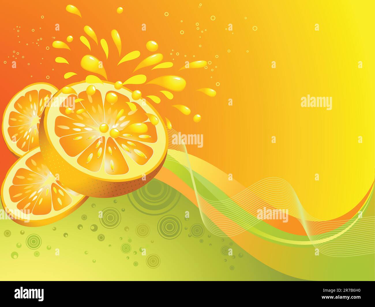 Orange citrus fruit. Vector illustration Stock Vector Image & Art - Alamy