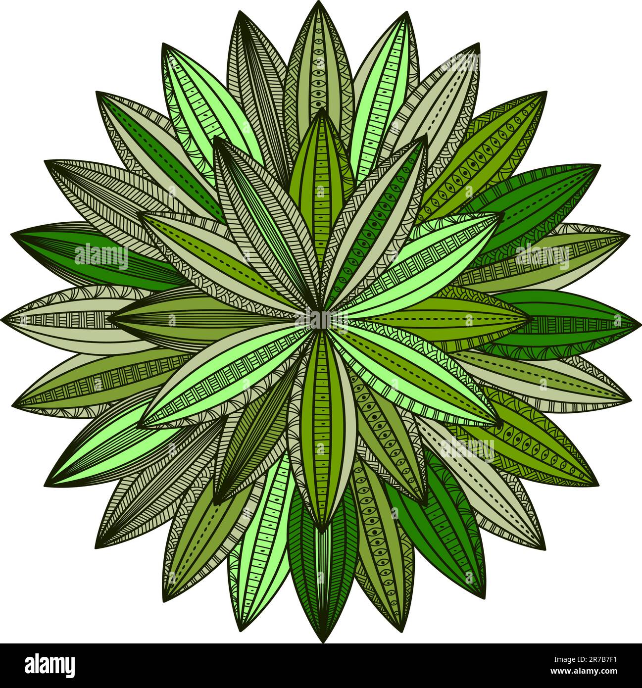 vector flower design element in green Stock Vector Image & Art - Alamy