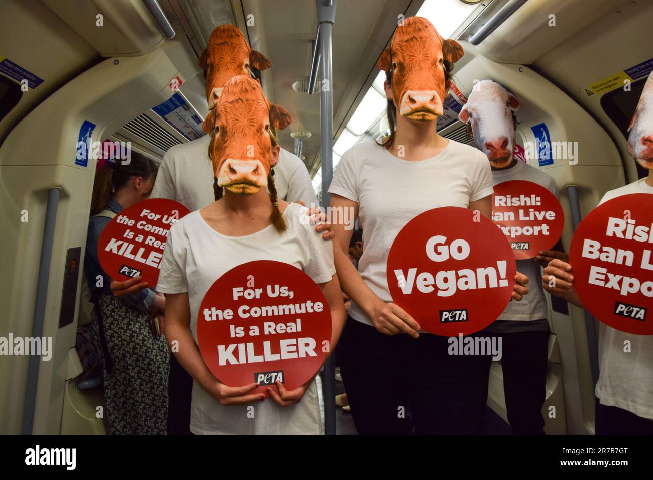 London, UK. 14th June 2023. PETA activists wearing sheep and cow masks ...