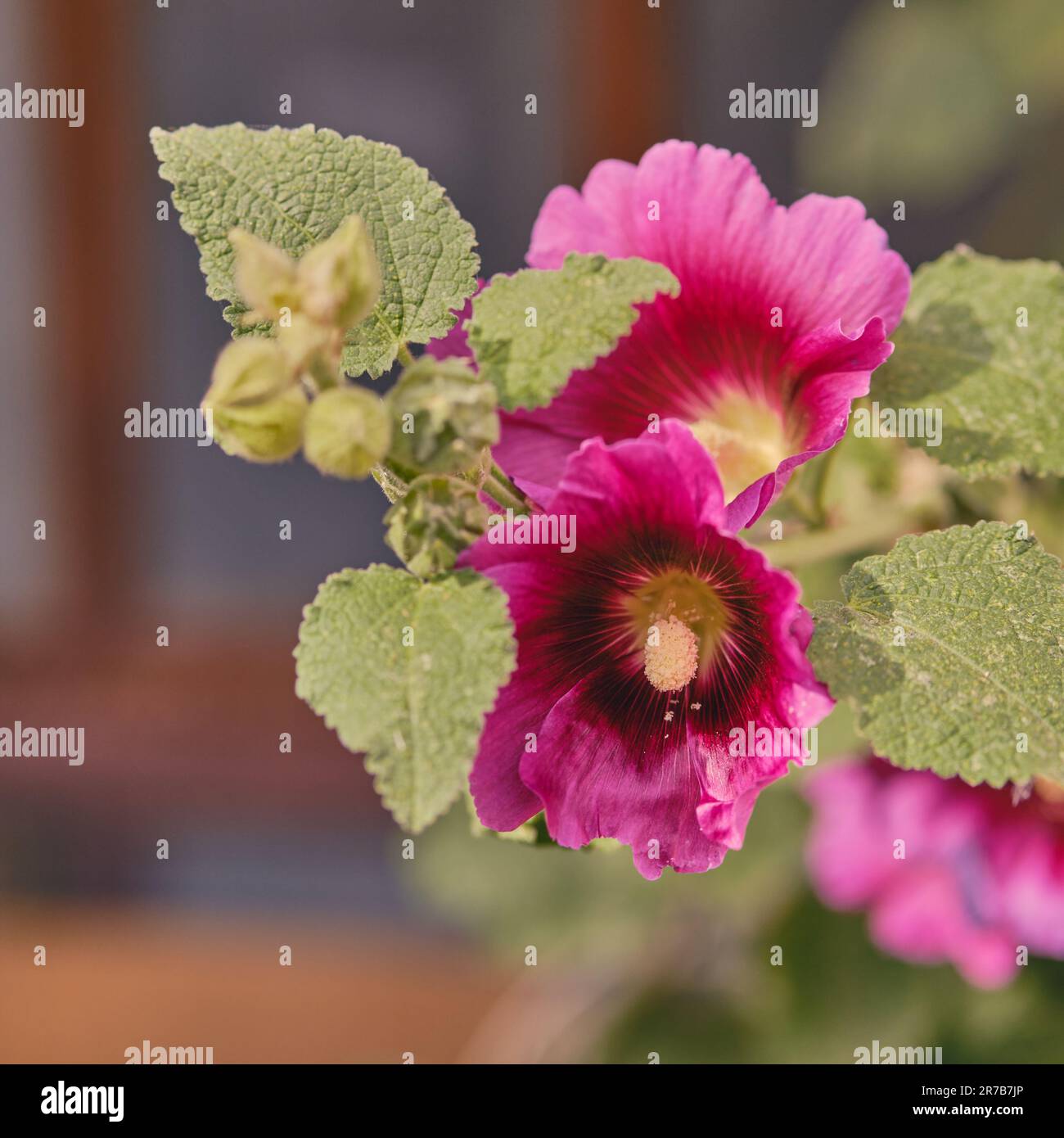 Realistic urban setting hi-res stock photography and images - Alamy