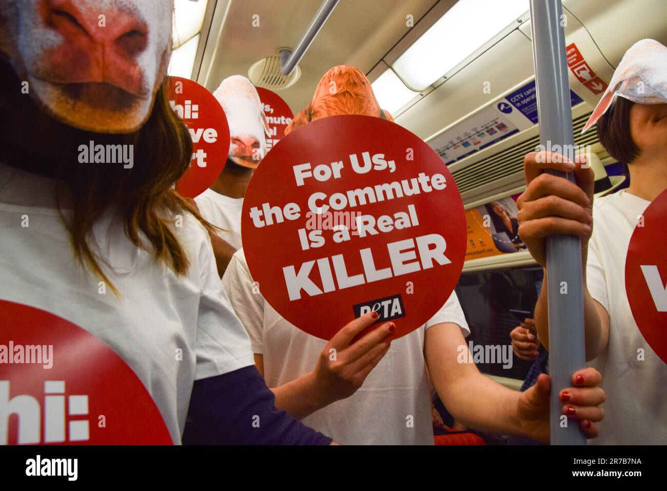 London, UK. 14th June 2023. PETA activists wearing sheep and cow masks ...