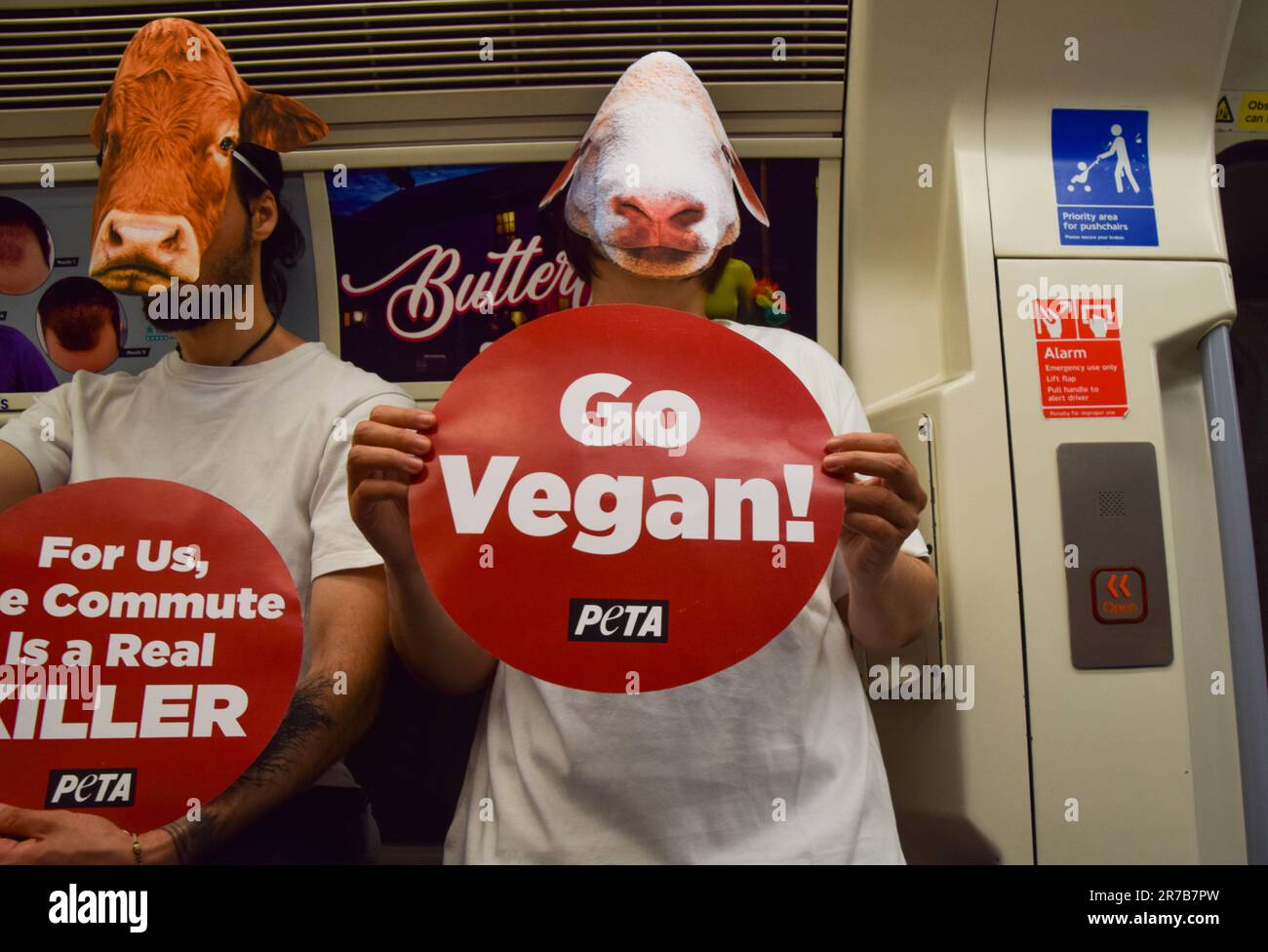 London, UK. 14th June 2023. PETA activists wearing sheep and cow masks ...