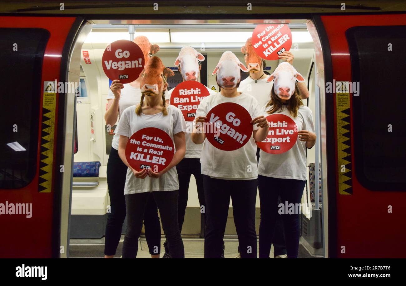 London, UK. 14th June 2023. PETA activists wearing sheep and cow masks ...