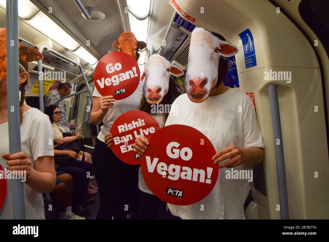 London, UK. 14th June 2023. PETA activists wearing sheep and cow masks ...