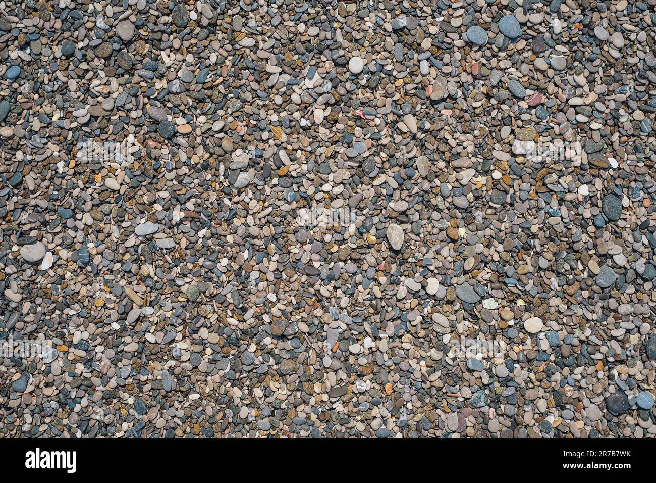 Round pebble texture background. Pebble sea beach close up, dark round ...