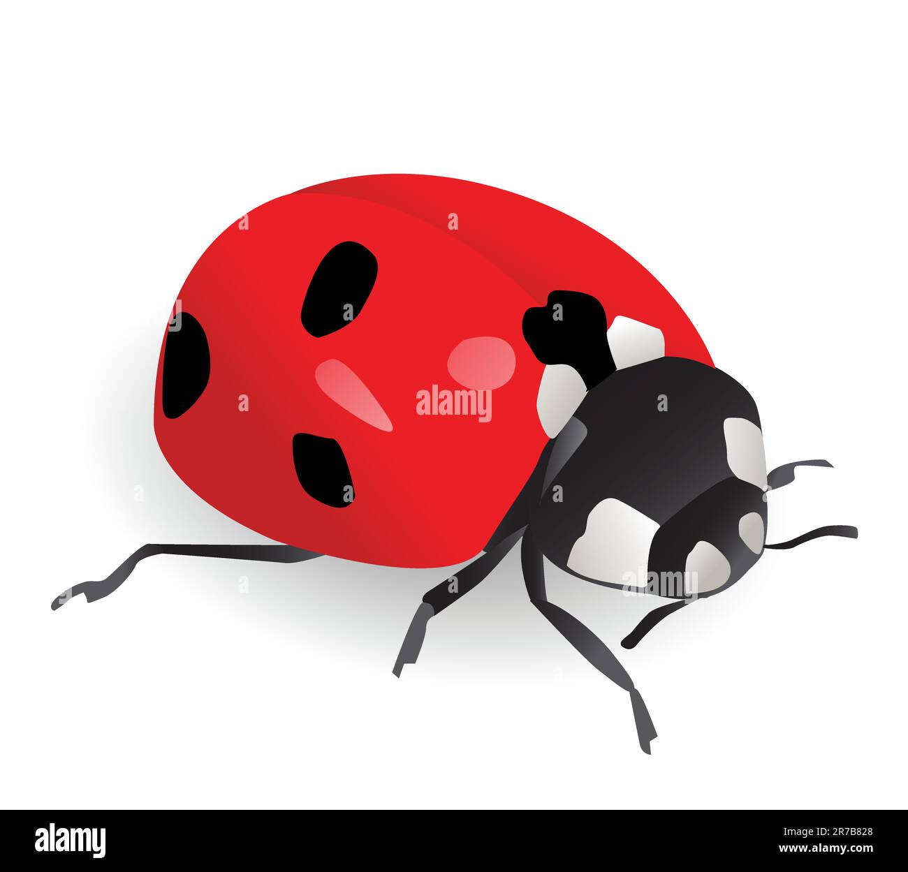 Bug detail Stock Vector Images - Alamy