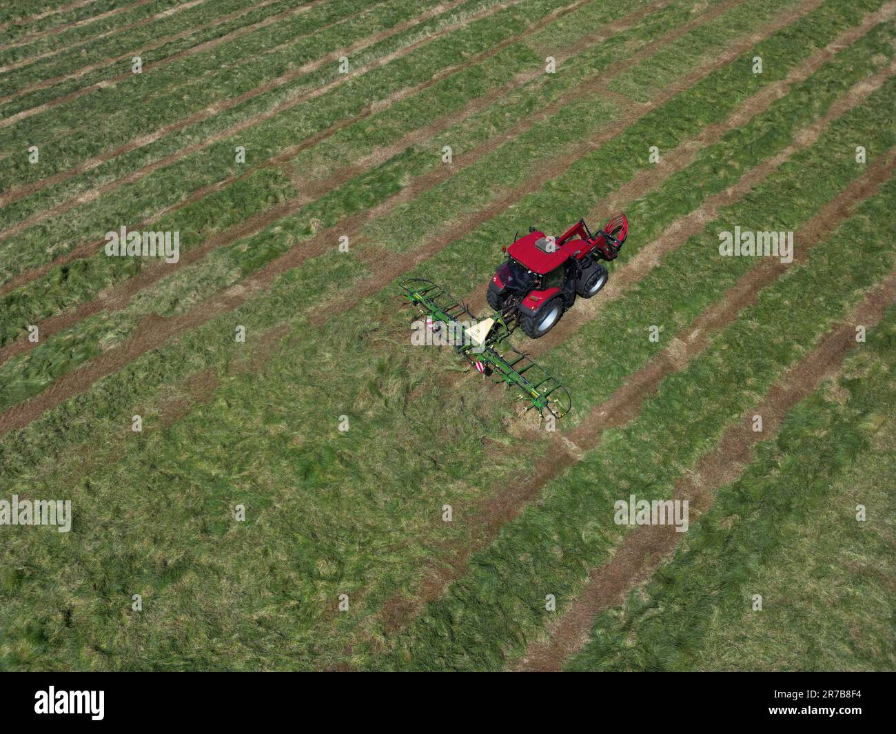 Greenlaw june hi-res stock photography and images - Alamy