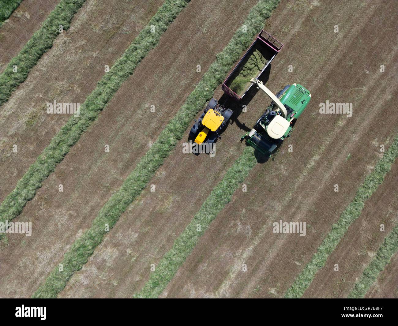 Greenlaw june hi-res stock photography and images - Alamy
