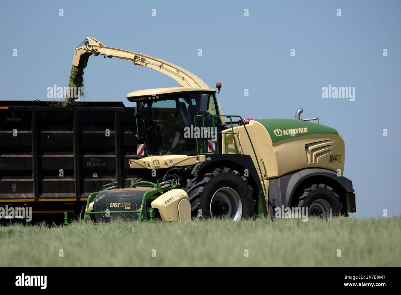 Greenlaw june hi-res stock photography and images - Alamy