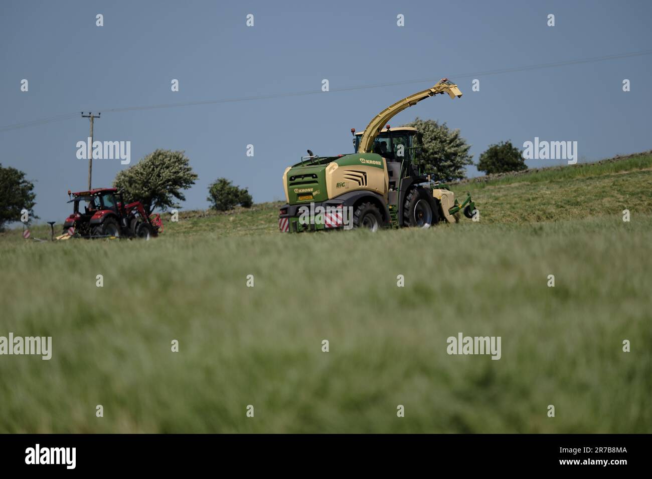 Greenlaw june hi-res stock photography and images - Alamy