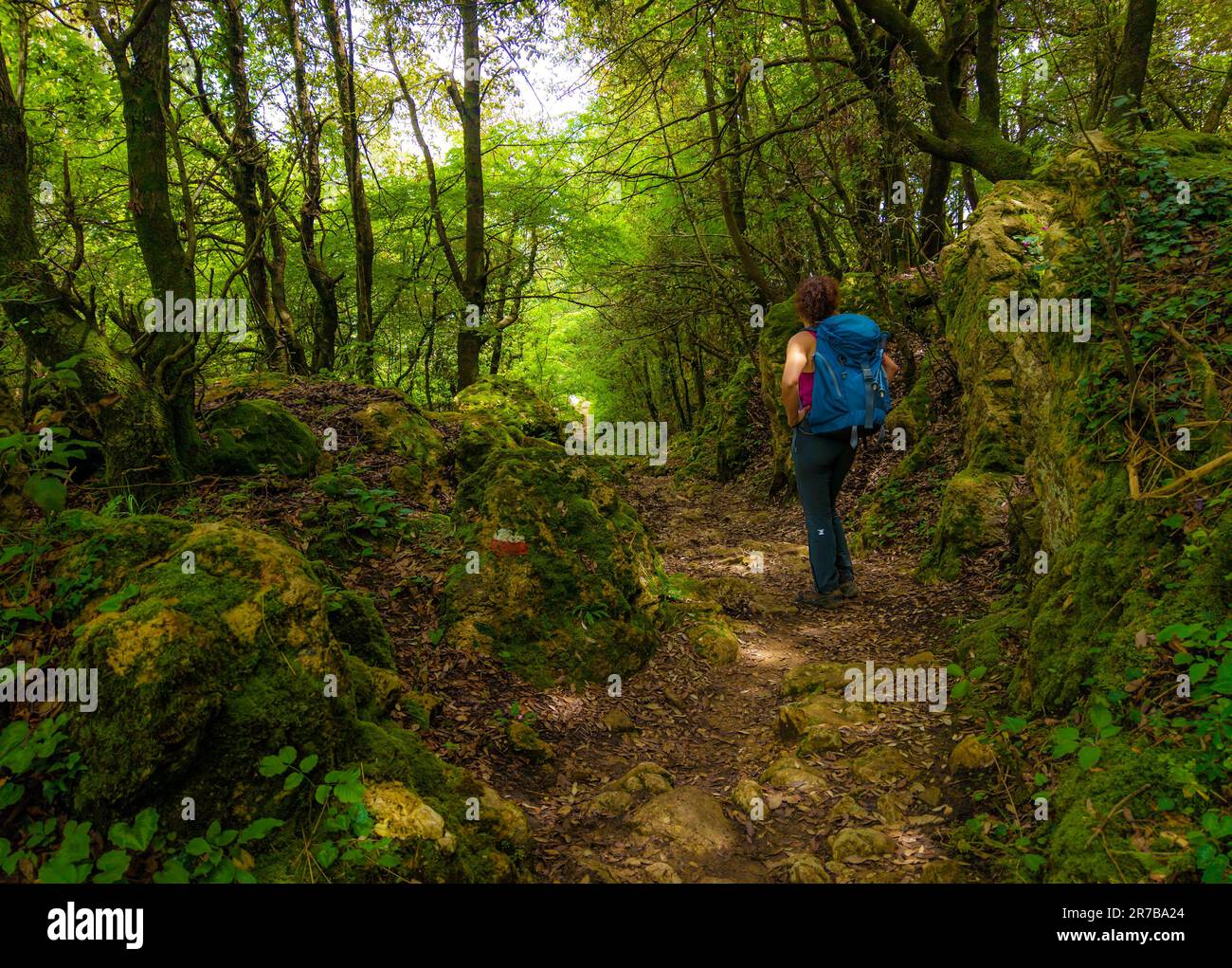 Patrica (Italy) - A view of Sentiero di Dante Alighieri path in ...