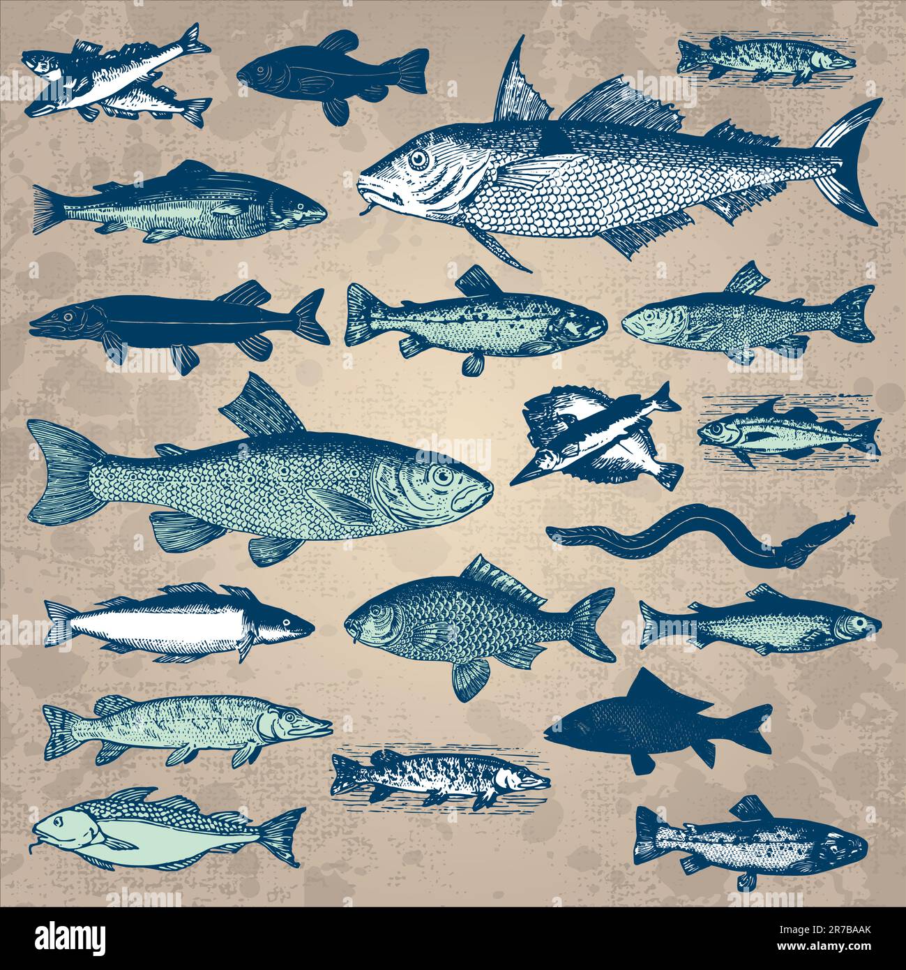 set of retro fish illustrations, scalable and editable vector Stock ...