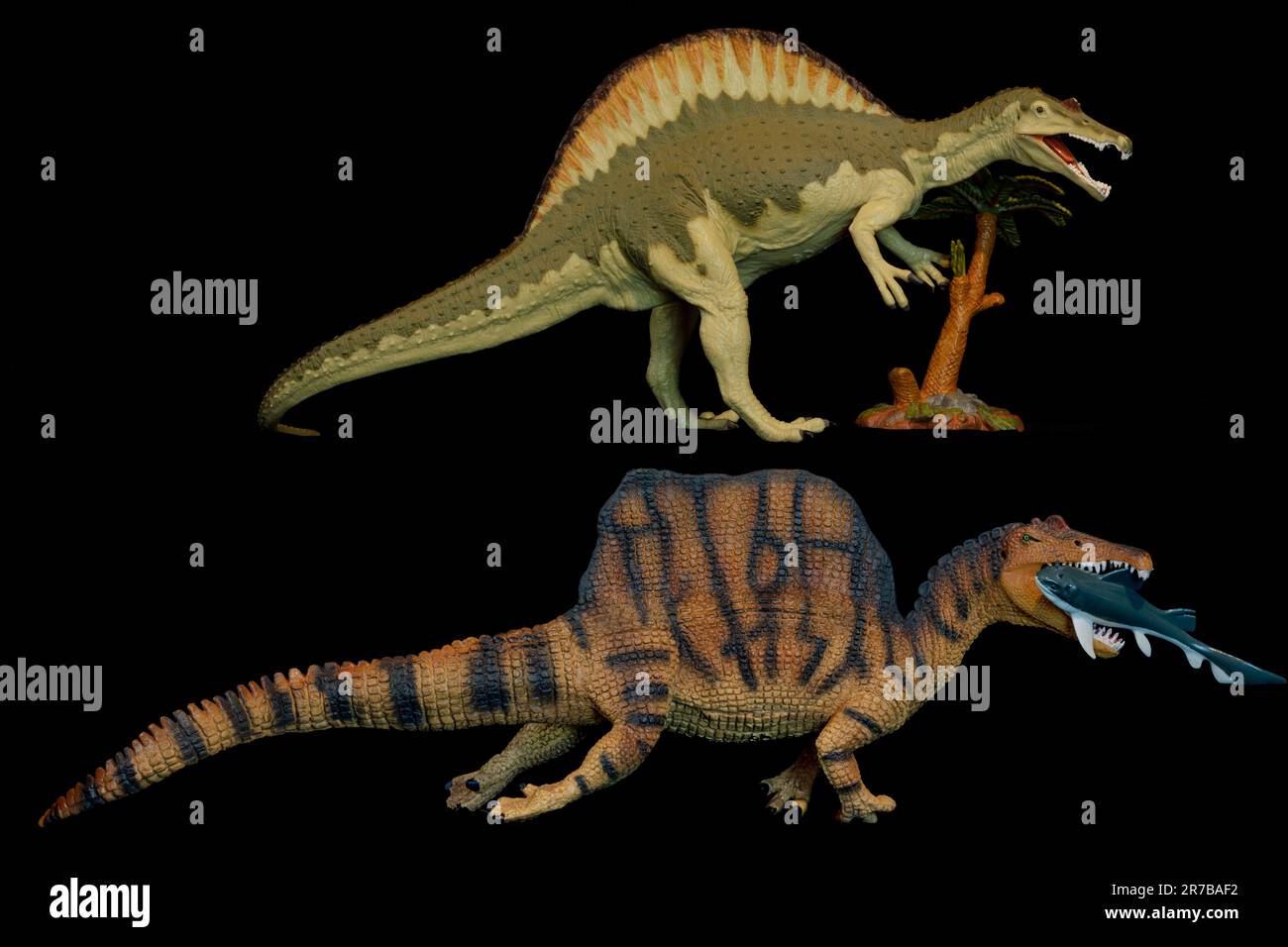 Models of Spinosaurus sculpted eleven years apart show the evolution of ...