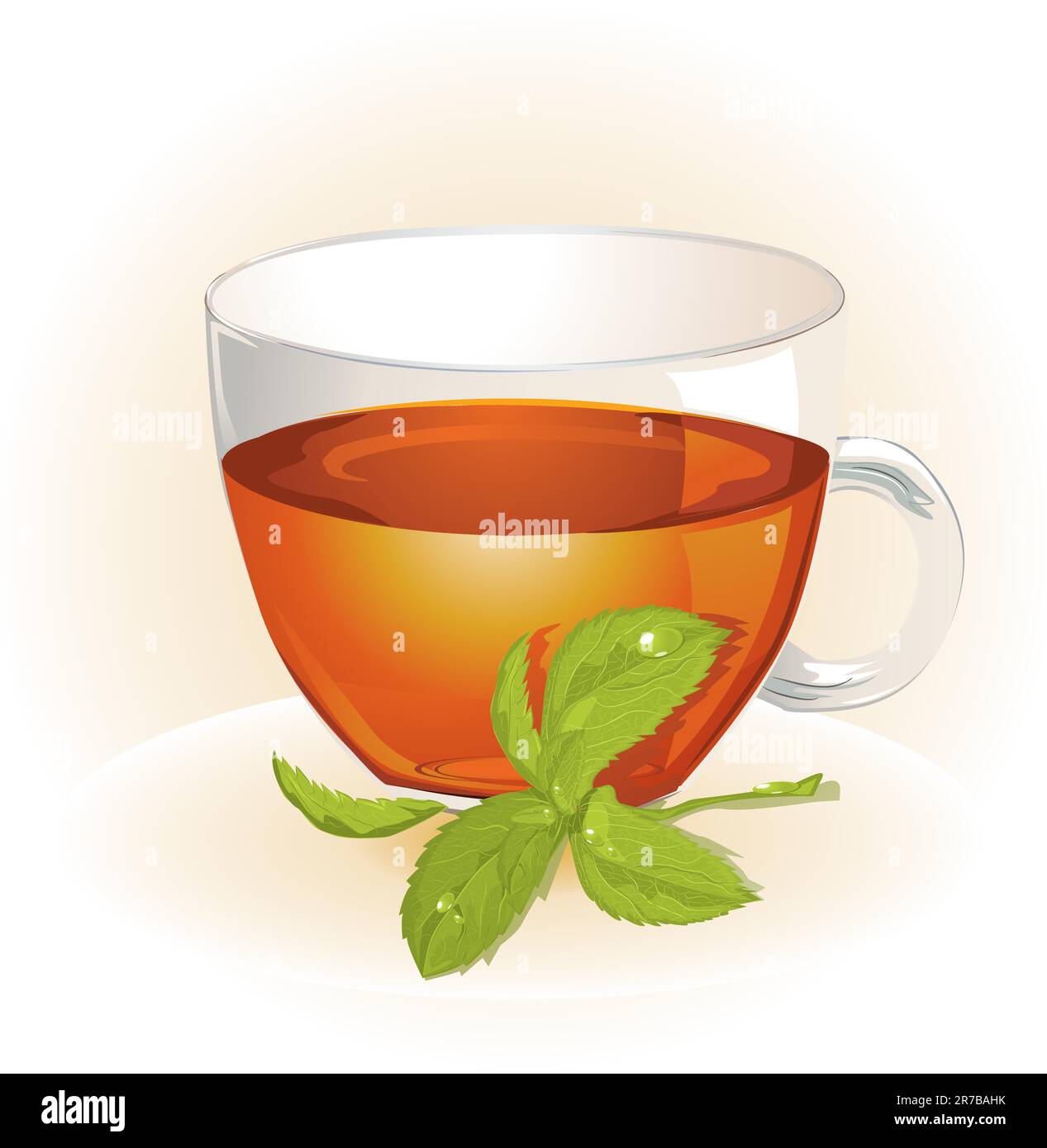 Fresh mint tea Stock Vector Images - Alamy