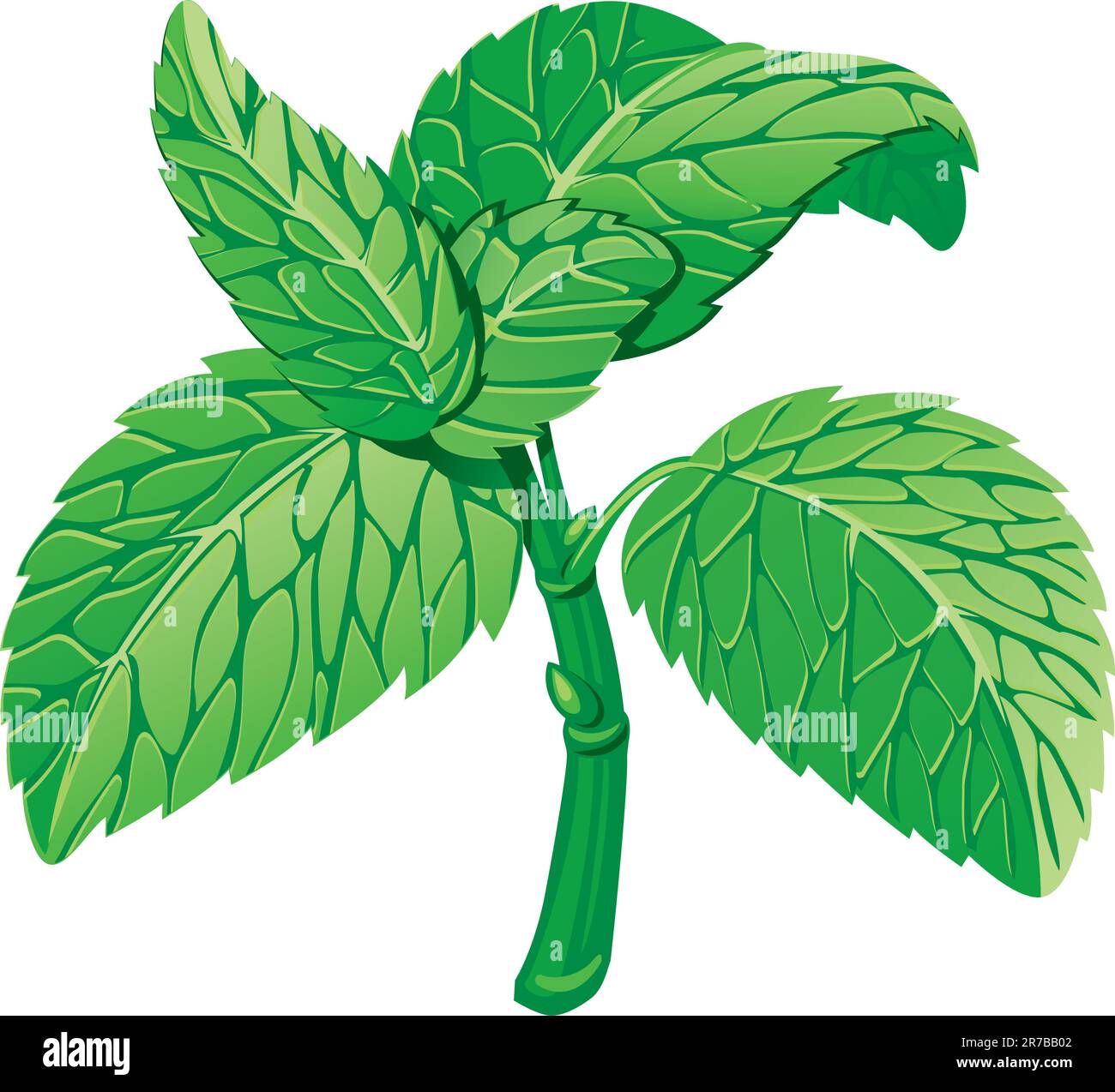 Single twig Stock Vector Images - Alamy