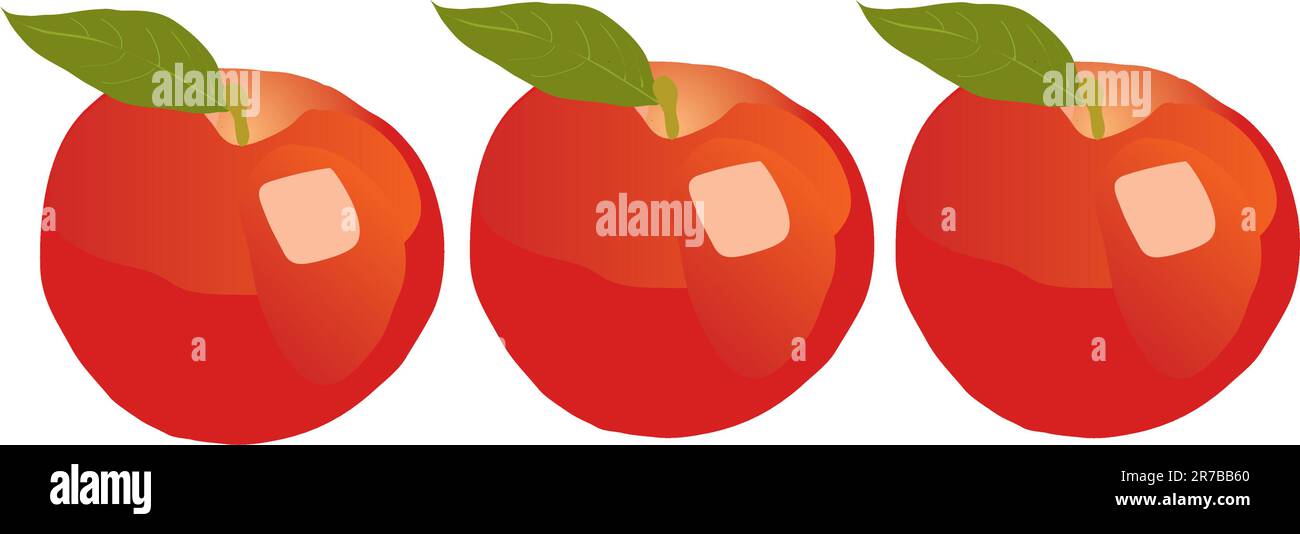 Fresh apples on apple tree Stock Vector Images - Alamy