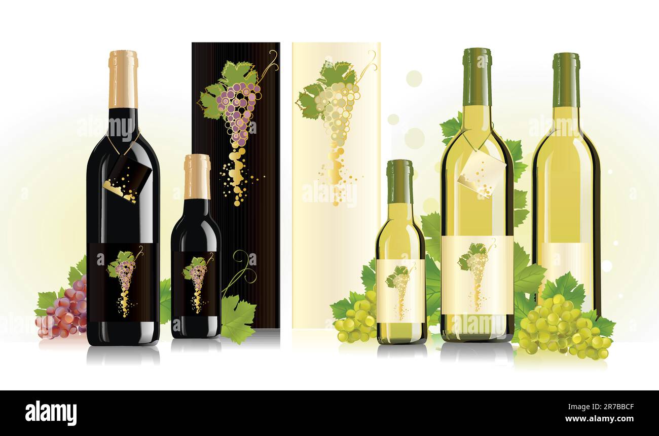 Vector illustration - collection of packages for white and red wine ...
