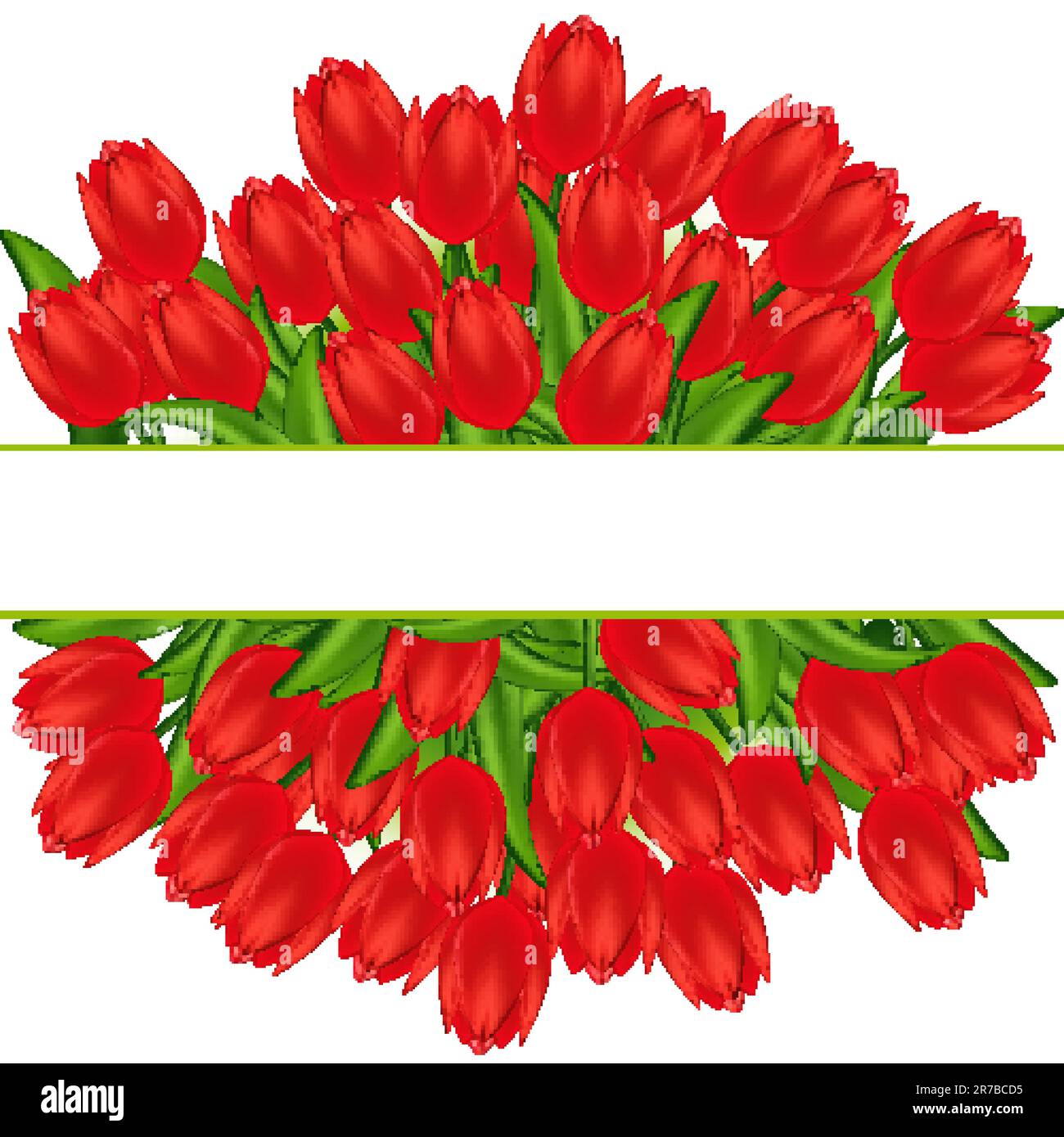 Clip Art Tulip Border