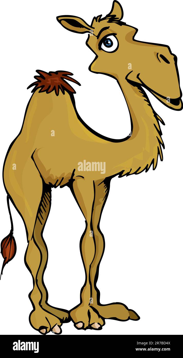 Cartoon smiling one hump Camel isolated on white Stock Vector Image ...